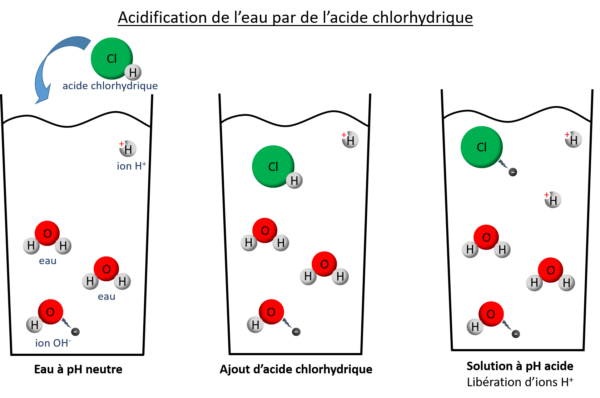 Tout comprendre sur le pH - Plantophage